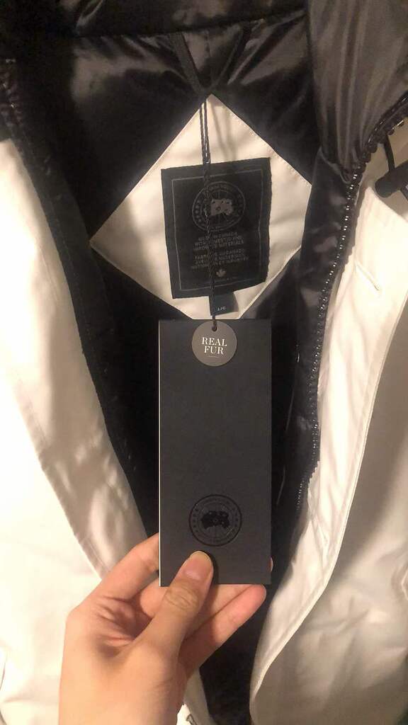 出一件跑路室友的大鹅 - 二手市场 - Niwenn