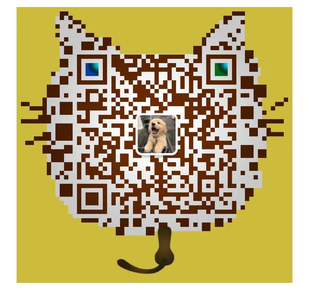 出rog 2k 35寸屏幕 - 二手市场 - Niwenn