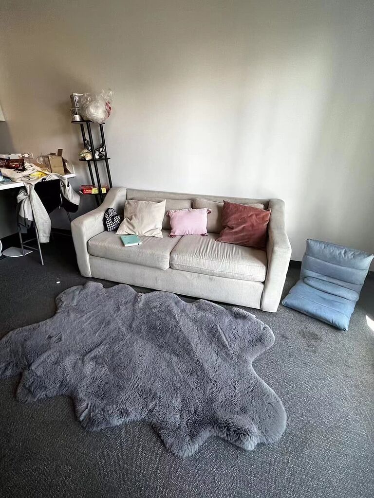 出Costco 地毯 、衣物收纳盒 - 二手市场 - Niwenn