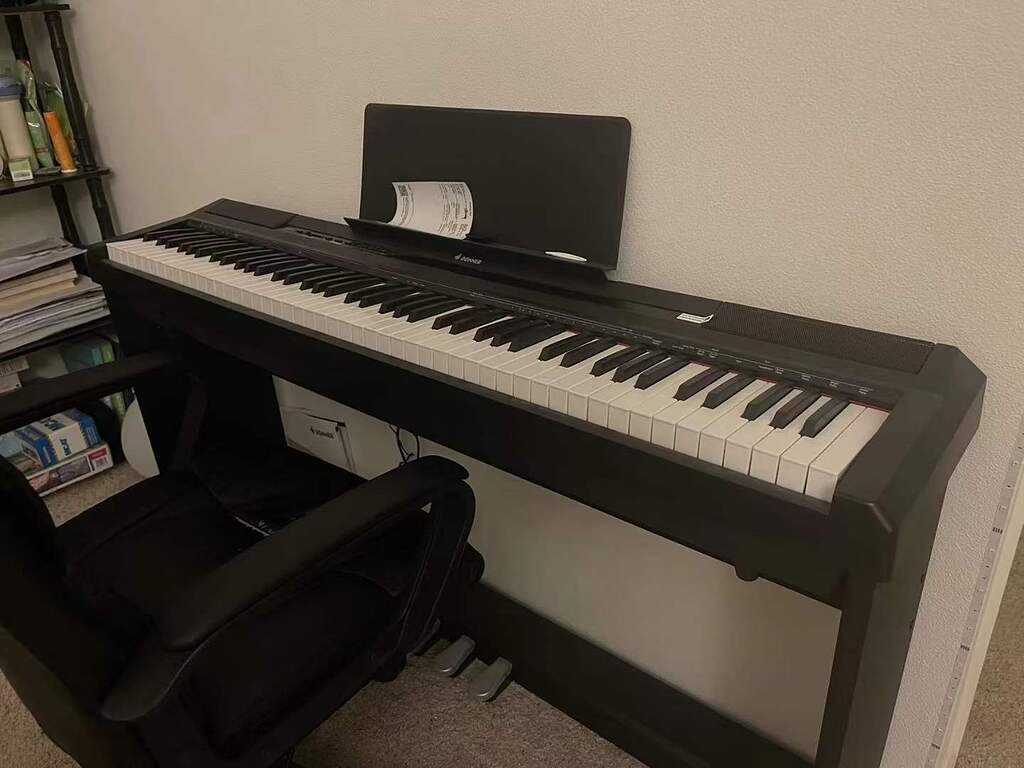 出一个Donner DEP-20 Beginner Digital Piano - 二手市场 - Niwenn