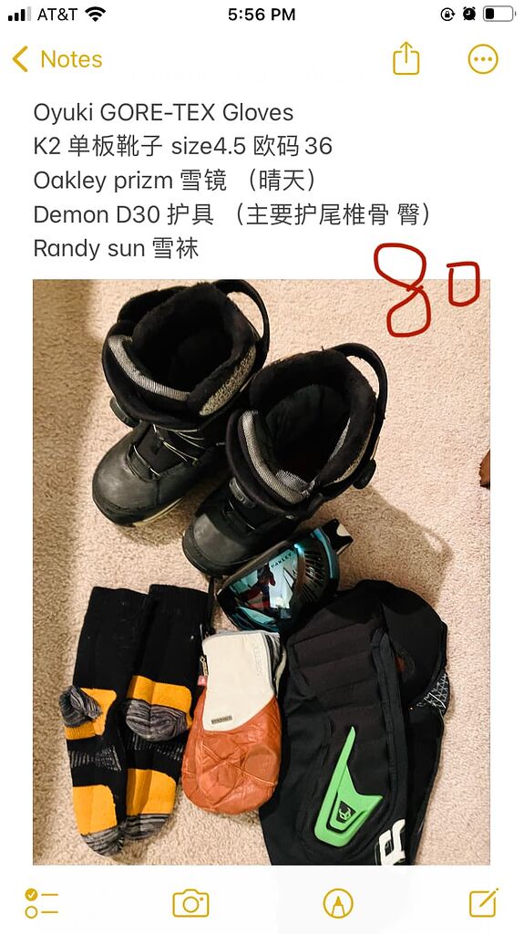 出雪镜、Demon D30 护具、雪袜等 - 二手市场 - Niwenn