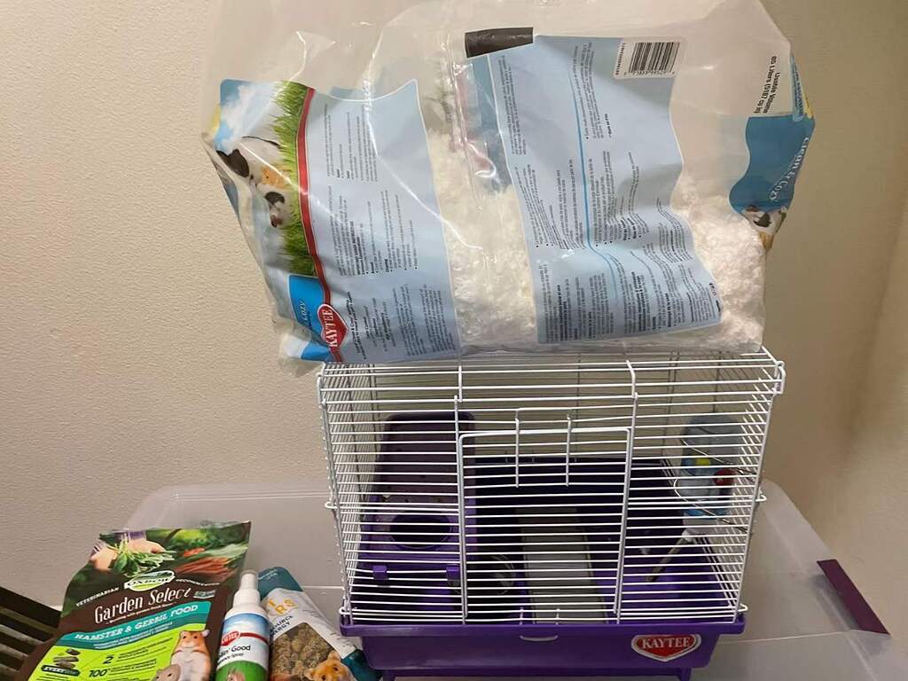 出二手仓鼠用品 - 二手市场 - Niwenn