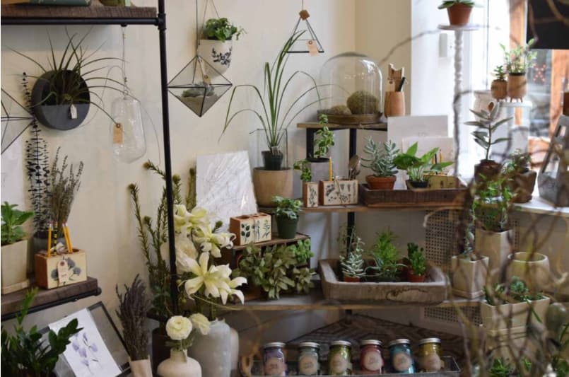 密西根花店盘点 - 服务•百科•推荐 - Niwenn