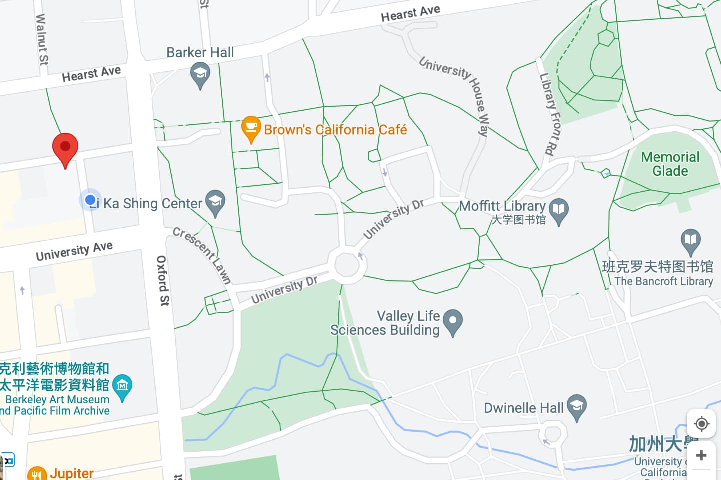 伯克利1b1b公寓，设备家具齐全，带一个车位。步行两分钟可到UCB位置超好。 - 房源 - Niwenn